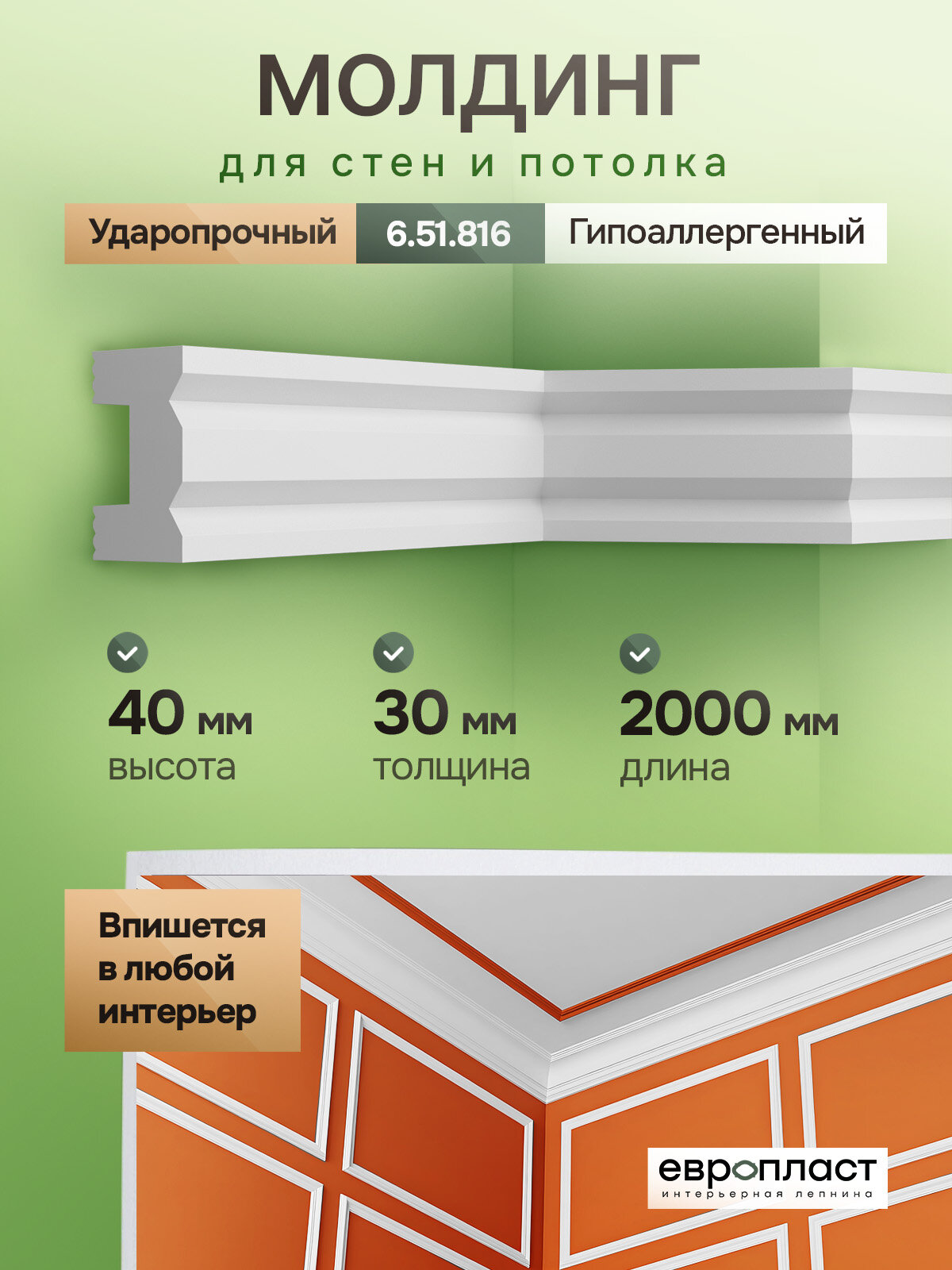 Молдинг для стен Европласт 6.51.816