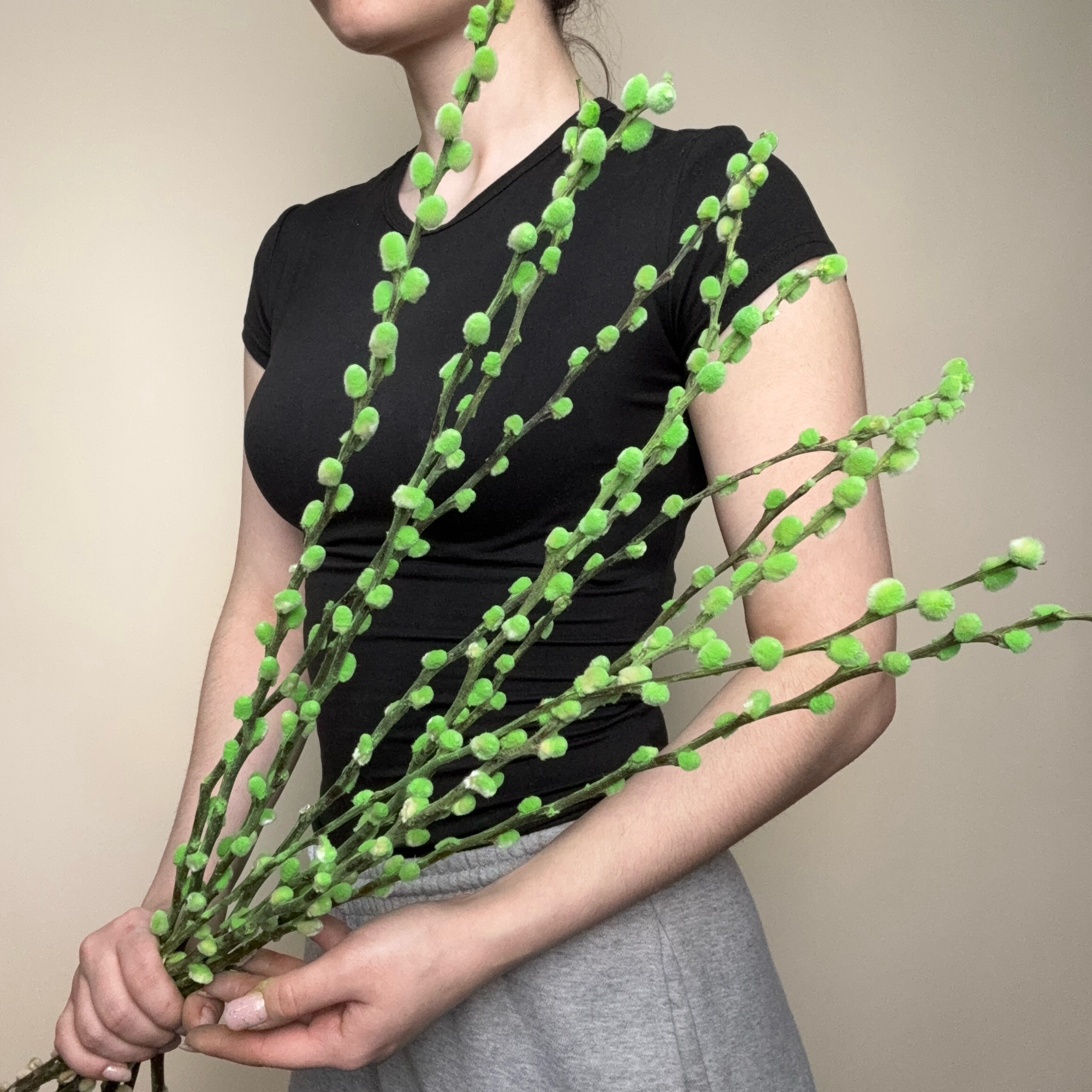 Пучок зеленый вербы , 11шт, (окрашена ) 70см Голландия Ver Flowers