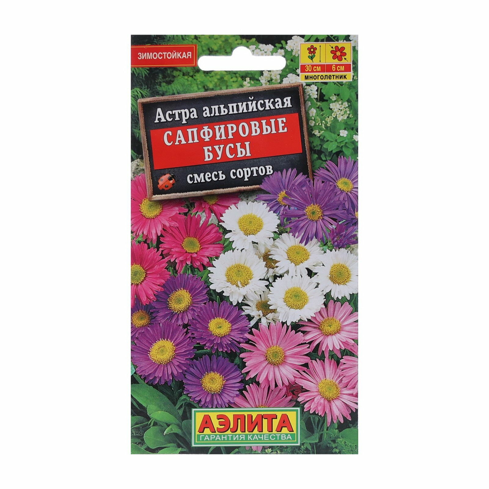 Семена цветов Астра альпийская "Сапфировые бусы", смесь окрасок, Мн, 0.1 г