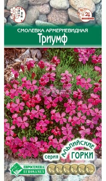 Семена Смолевка армериевидная "Триумф" Многолетник "Евросемена"