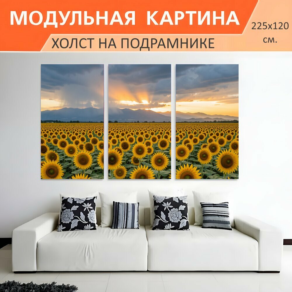 Модульная картина на холсте "Подсолнухи под драматичным небом. Бескрайнее поле солнечных цветов на фоне горного горизонта, лучи." триптих на подрамнике 225х120 см. для интерьера