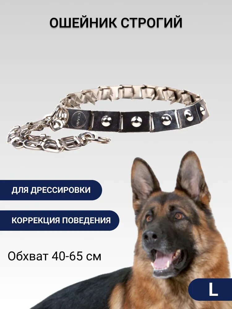 Строгий ошейник для крупных собак и собак средних пород для дрессировки L (40-65 см)