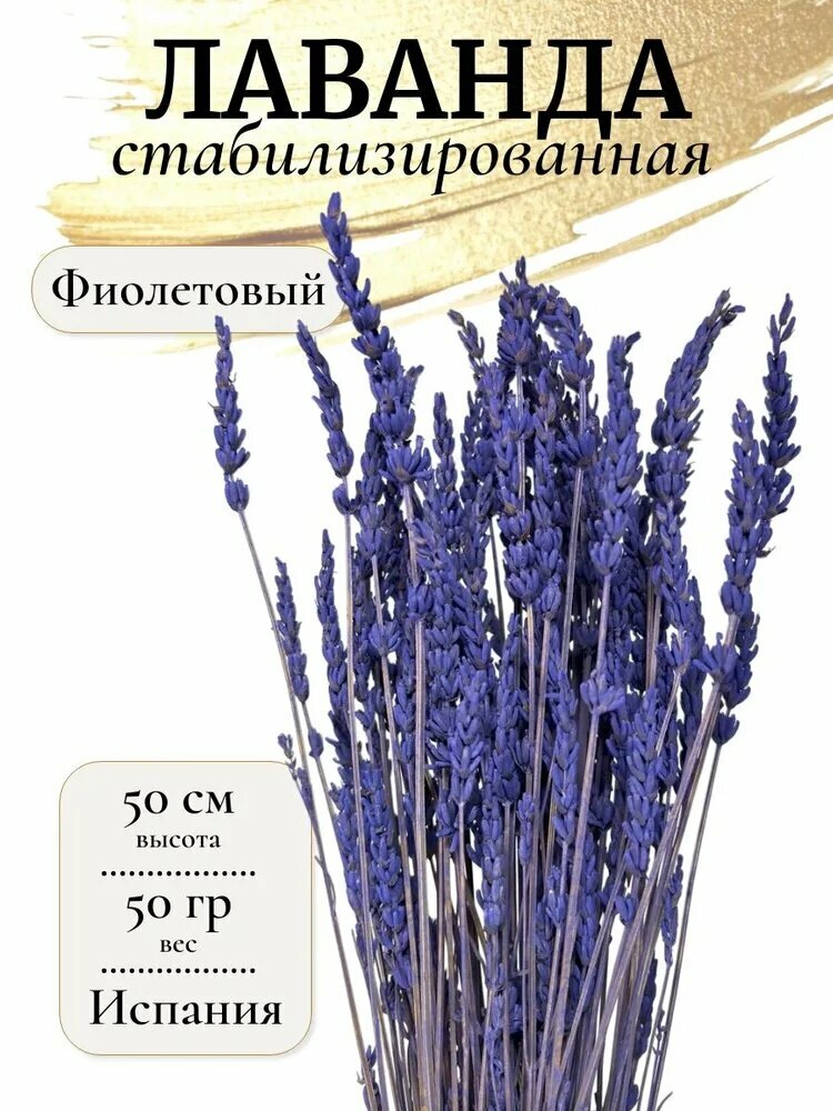 Стабилизированные цветы Лаванда, 50 см, 60 гр