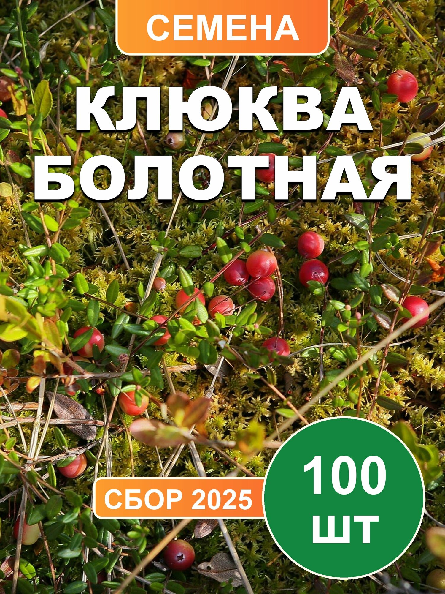 Клюква болотная, семена, 100шт