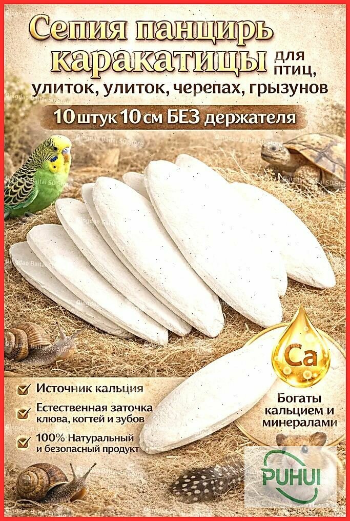 Сепия панцирь каракатицы для птиц, улиток, черепах, грызунов 10 штуки 10 см без держателя