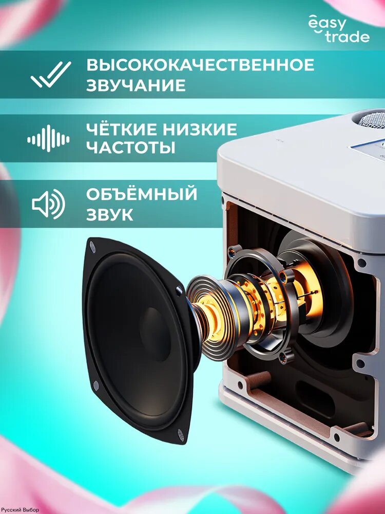 Караоке-система DM с Bluetooth 5.0 для телефона, Смарт ТВ и ПК, белая