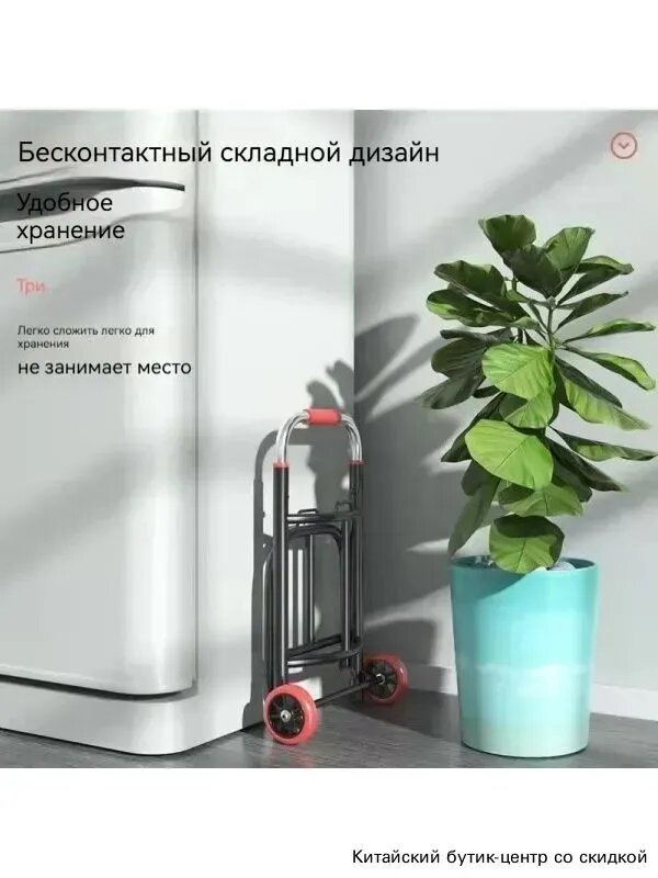 Тачка садовая металлическая с бескамерными колесами, грузоподъемность 100 кг, 3 колеса — фото 1