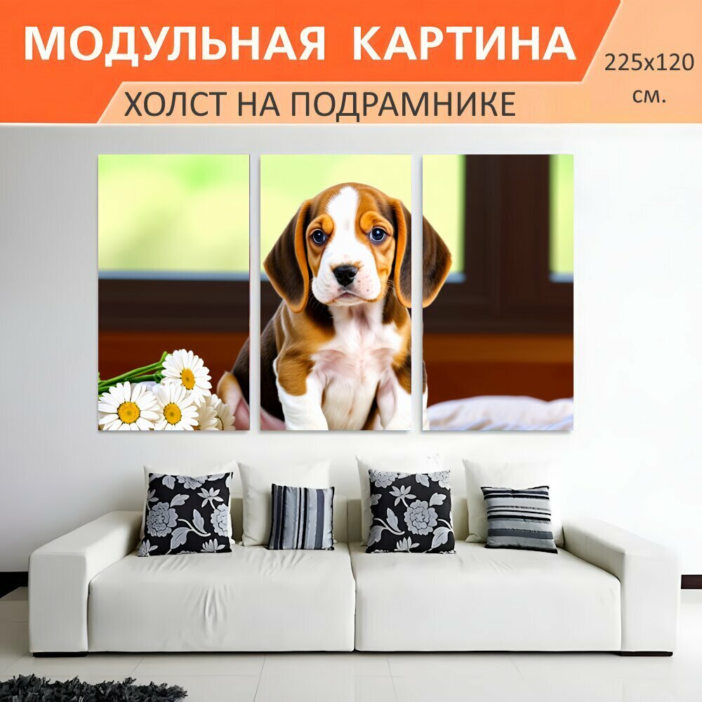 Модульная картина на холсте "Щенок бигля с коричнево-белым окрасом сидит на кровати с пучком белых ромашек на фоне солнечного окна с." триптих на подрамнике 225х120 см. для интерьера