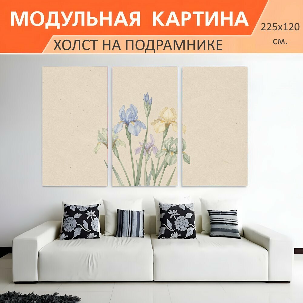 Модульная картина на холсте "Ирисы на бежевом фоне. Нежная ботаническая композиция с цветущими ирисами пастельных оттенков: голубые." триптих на подрамнике 225х120 см. для интерьера