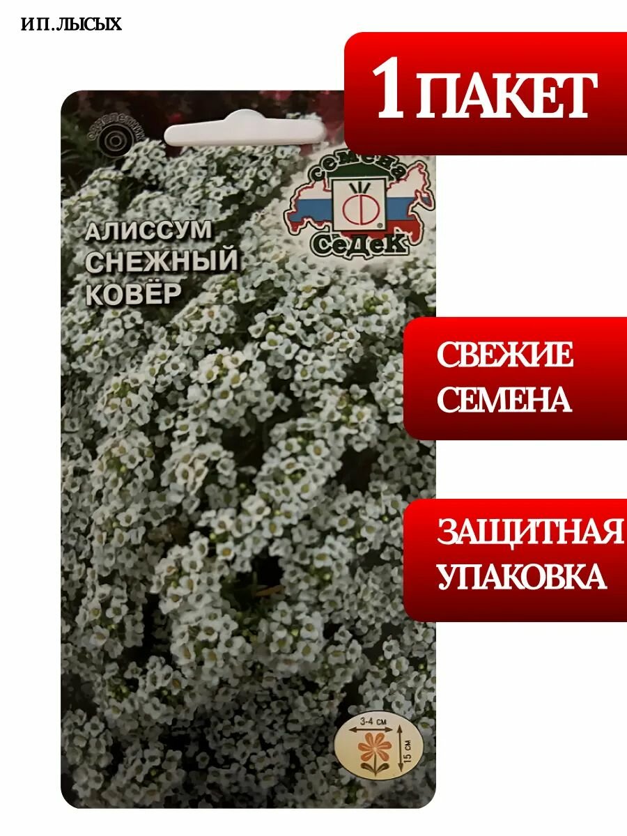 Семена Алиссум "Снежный Ковер"