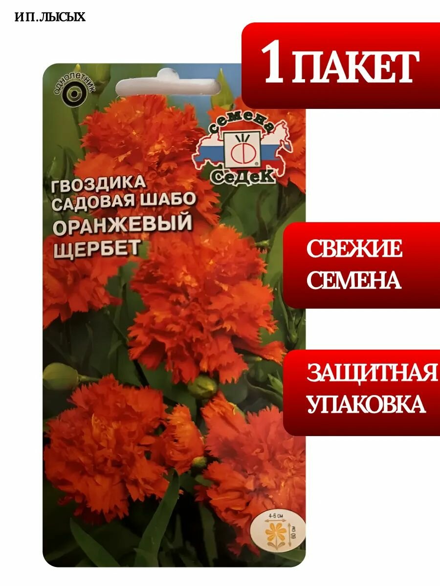 Семена Гвоздика "Оранжевый Щербет"