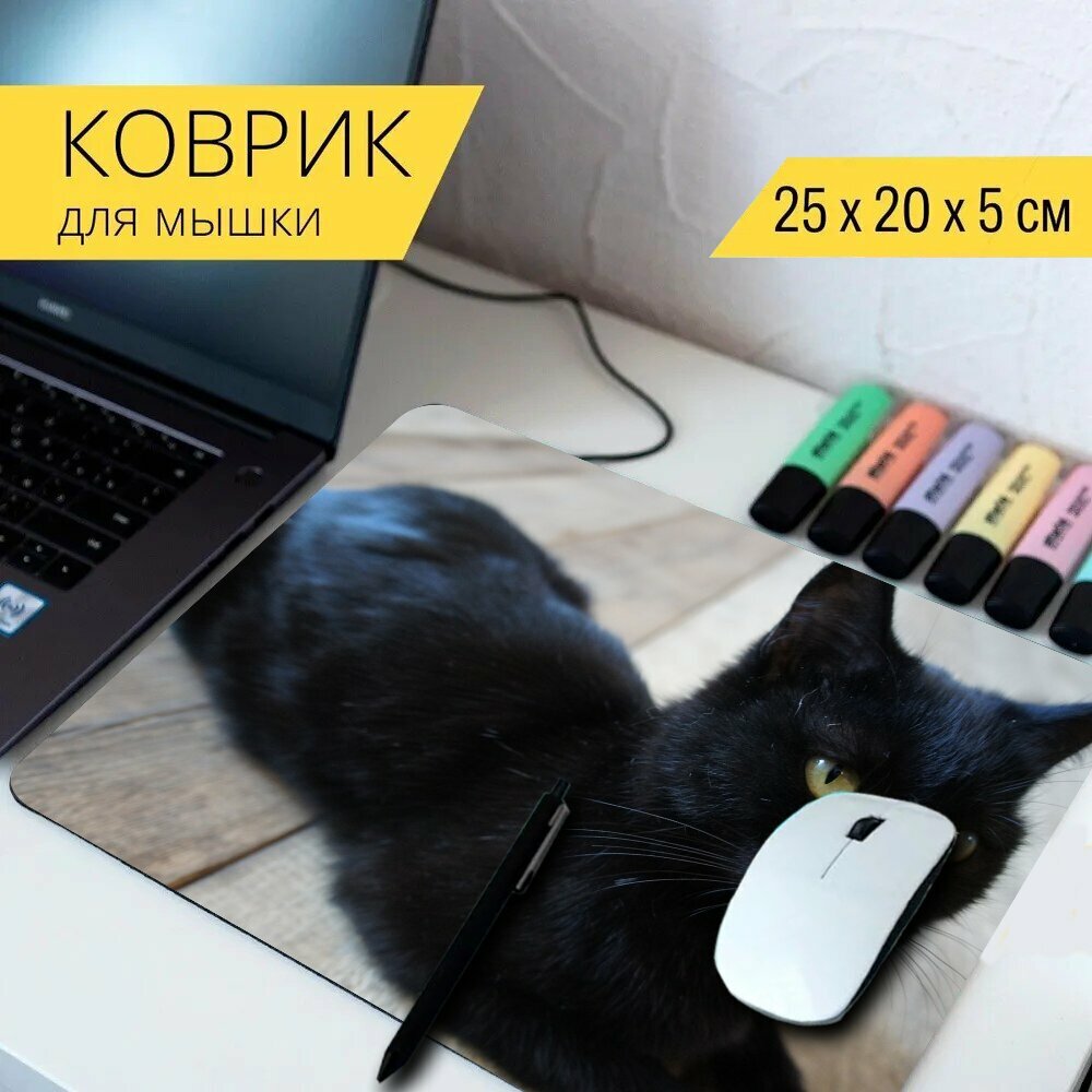Коврик для мыши с принтом "Кошка черная, коты, кошки" 25x20см.