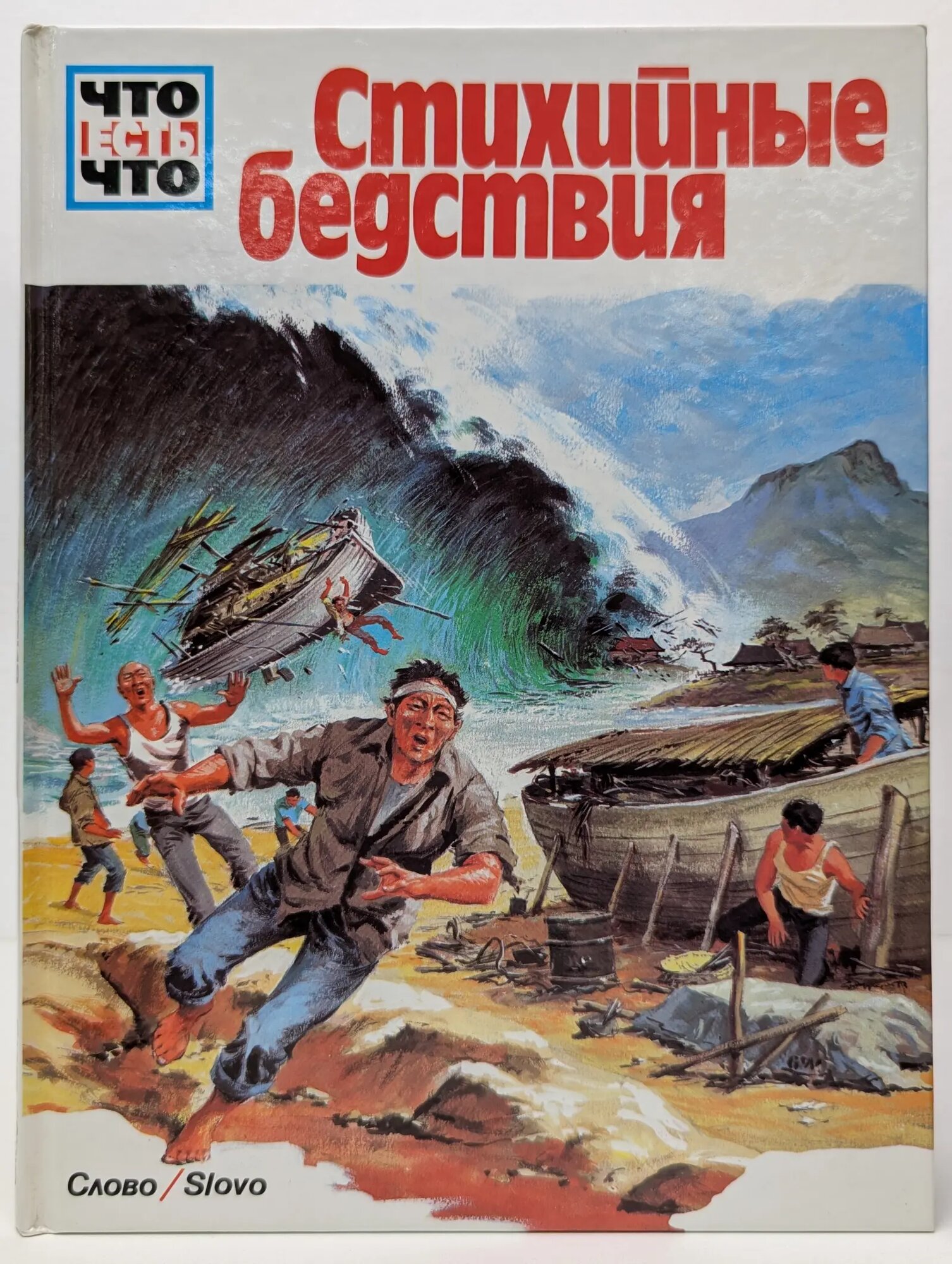 Что есть что. Стихийные бедствия Райхардт Ганс 1994