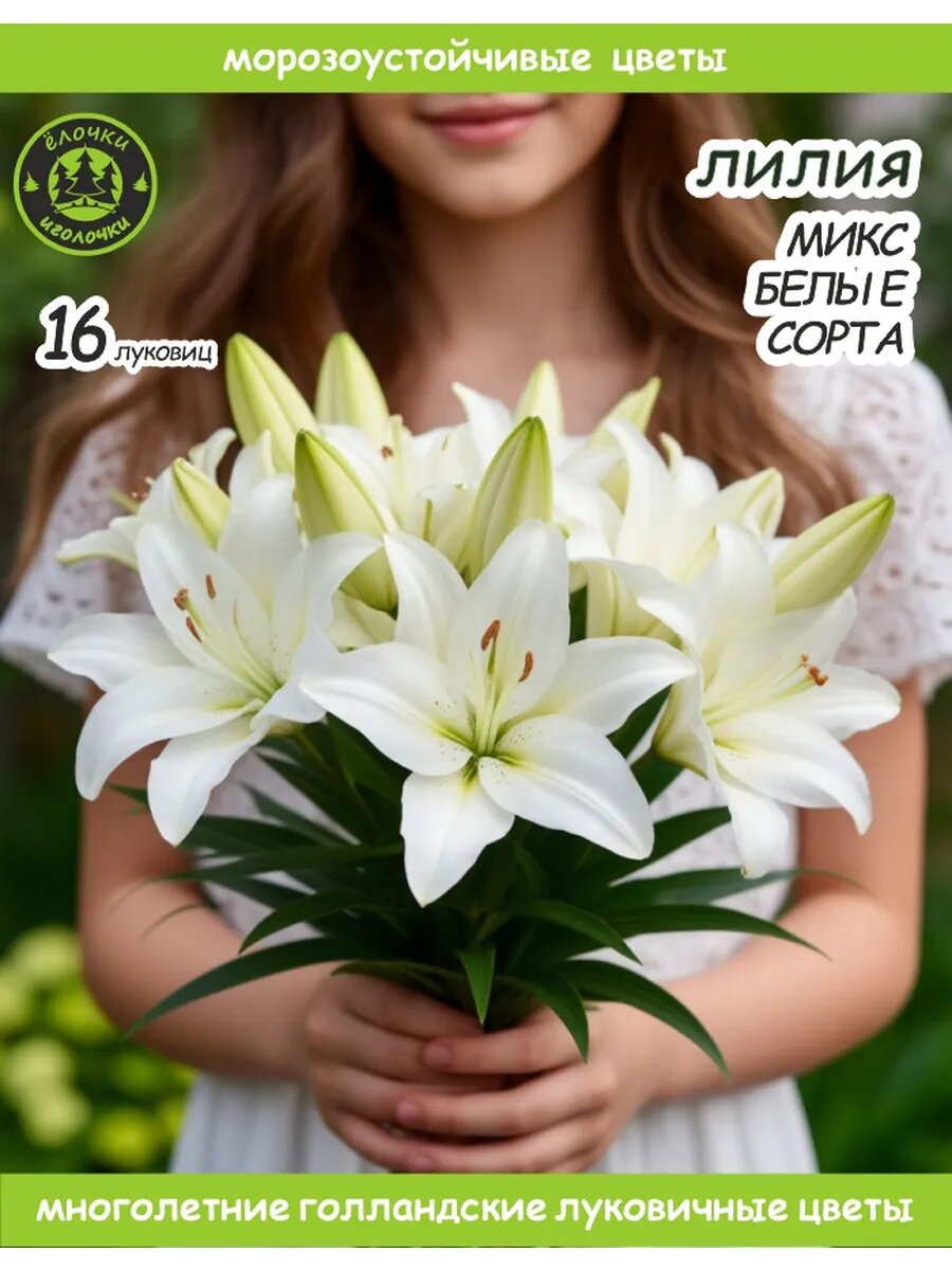 Лилия Луковица, Микс белые, 16 шт