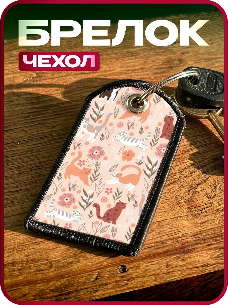 Чехол для ключа домофона Коты