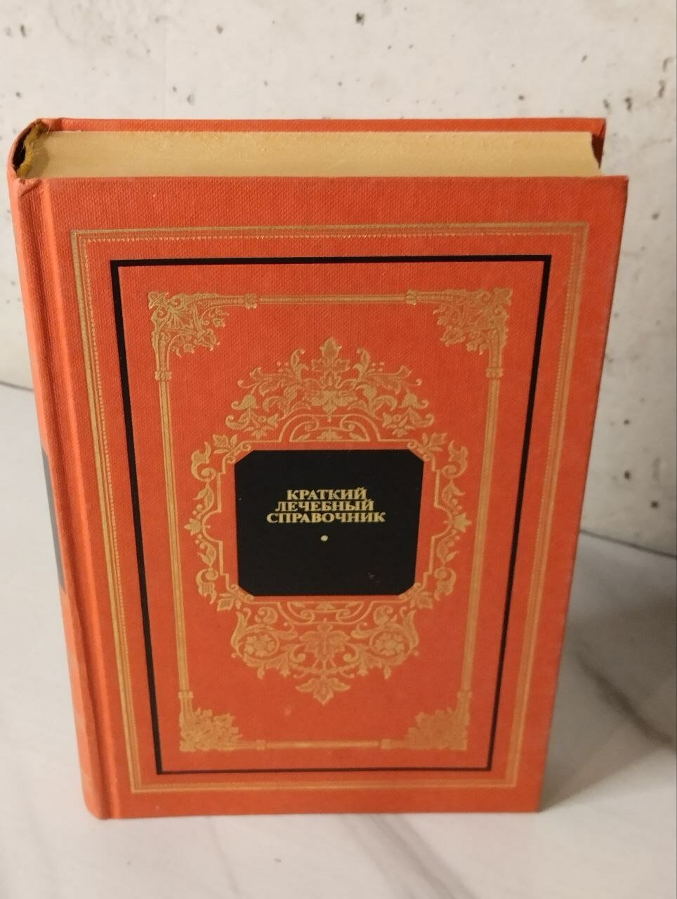 Краткий лечебный справочник Закревский Виктор Вениаминович