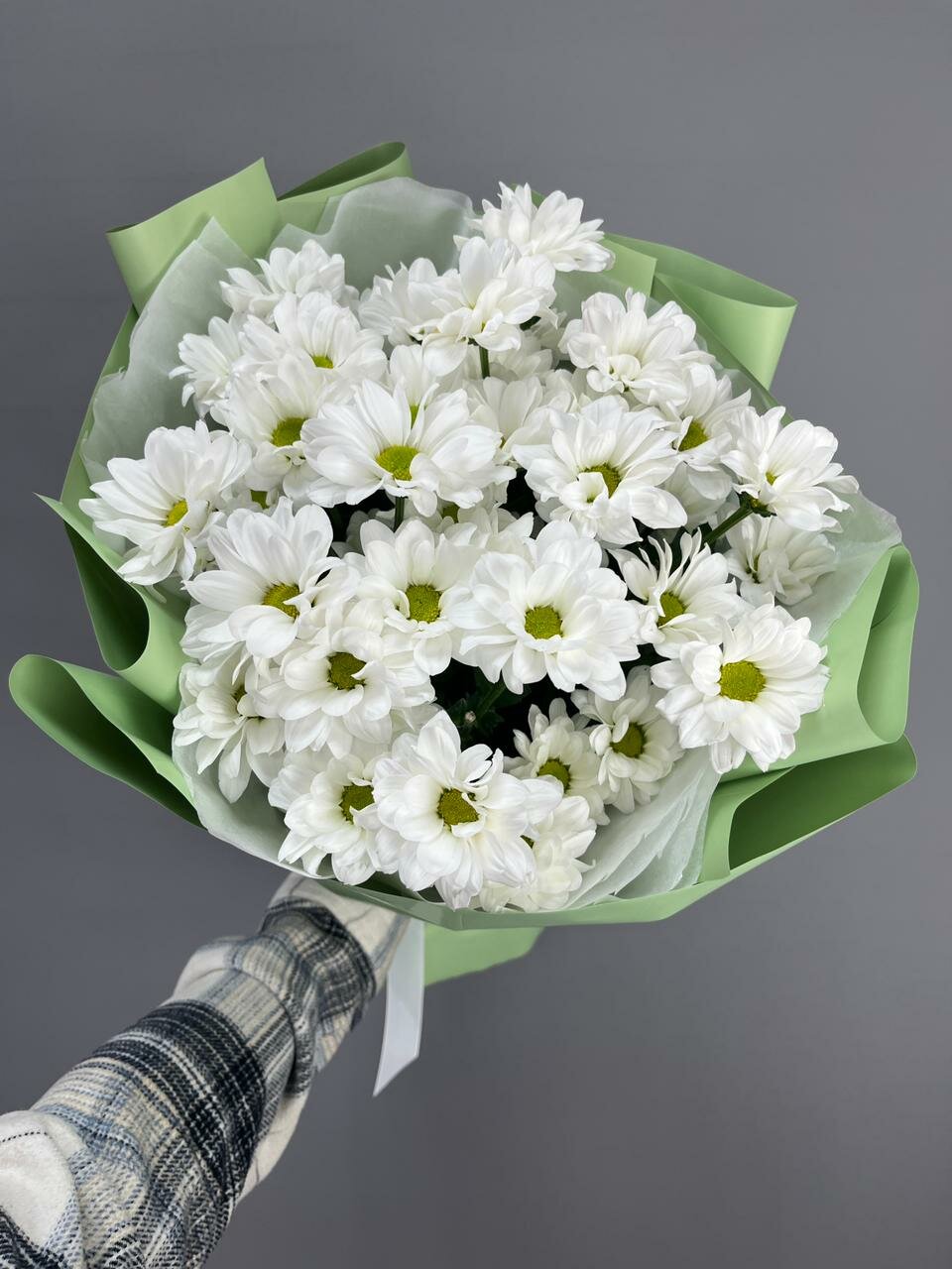 Классический букет из 5 белых ромашковых хризантем в матовой пленке с атласной лентой