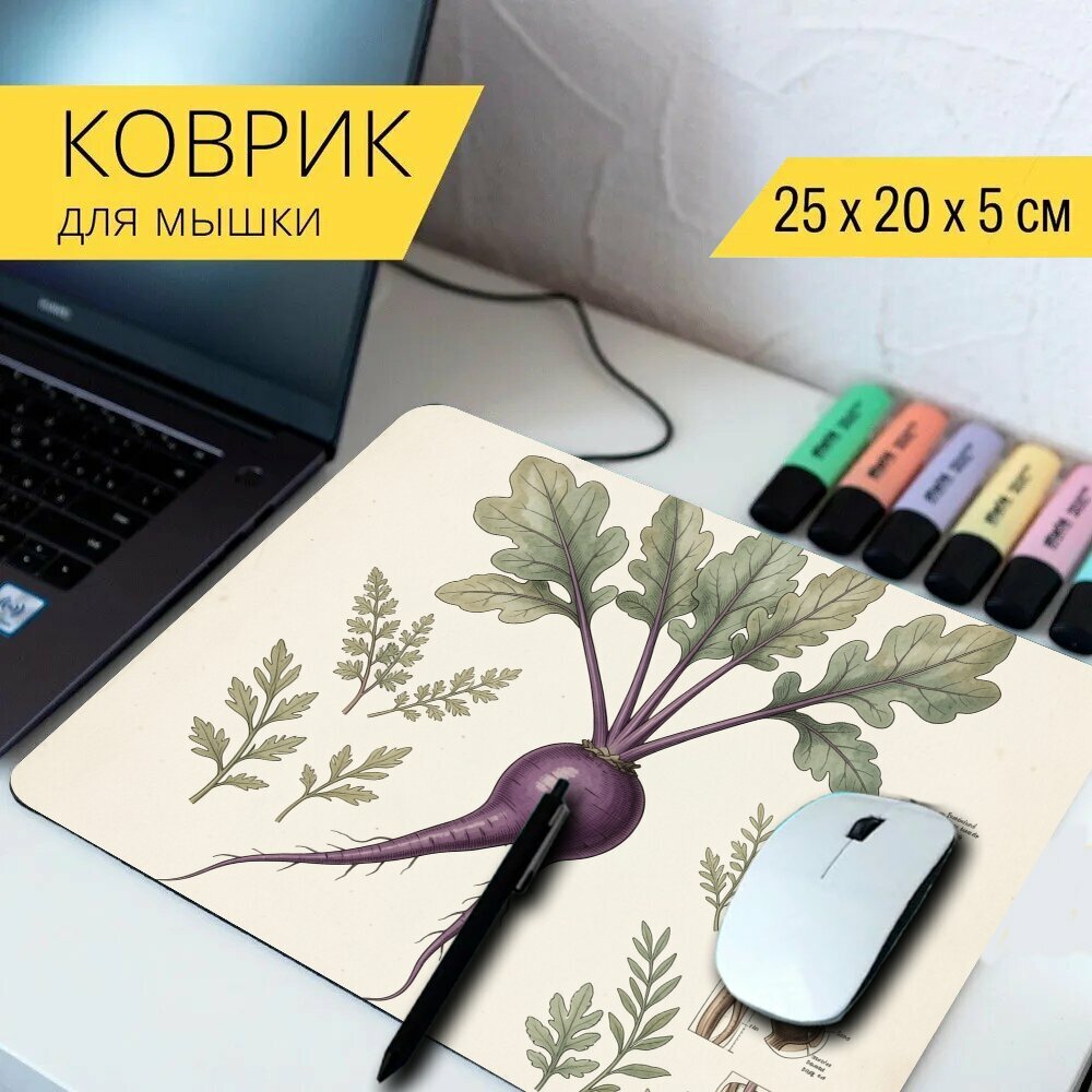 Коврик для мыши с принтом "Ботаническая иллюстрация фиолетовой свеклы. Винтажный научный рисунок корнеплода с длинным корнем, зелено-сиреневыми листьями и схематичными." 25x20см.
