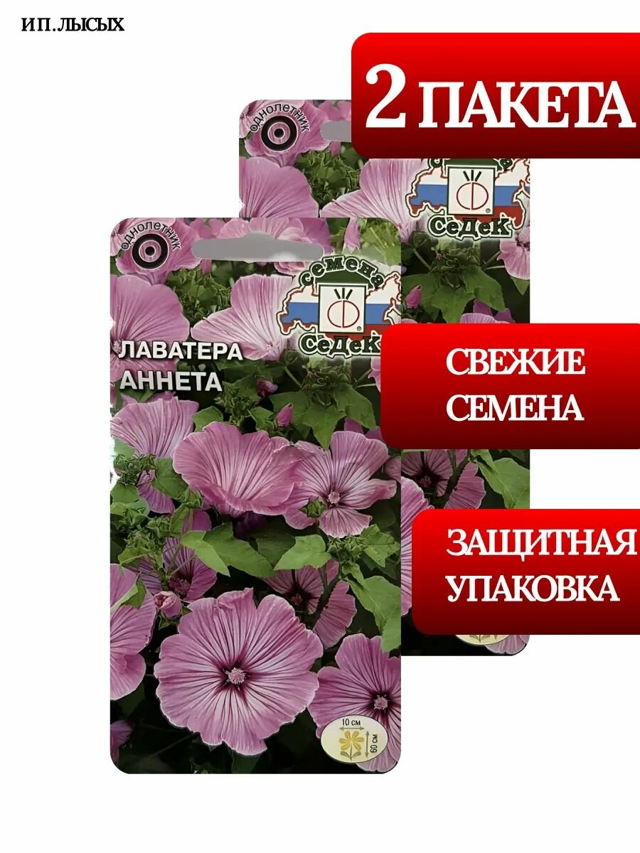 Семена Лаватера "Аннета"
