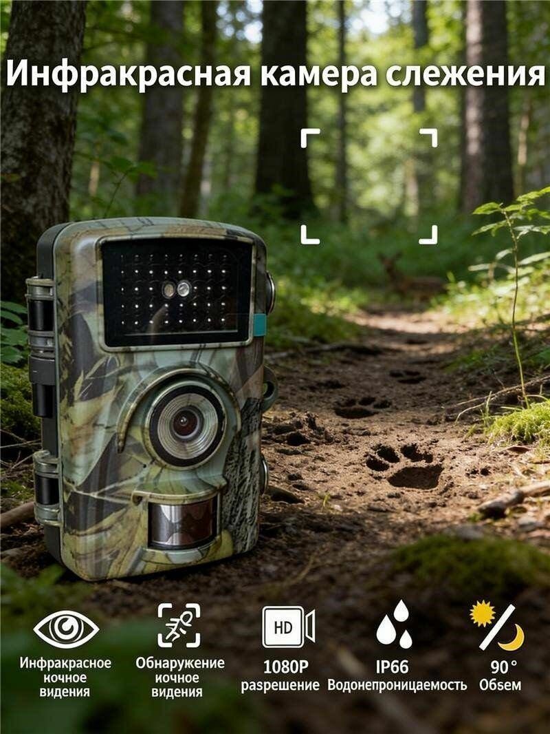 Фотоловушка