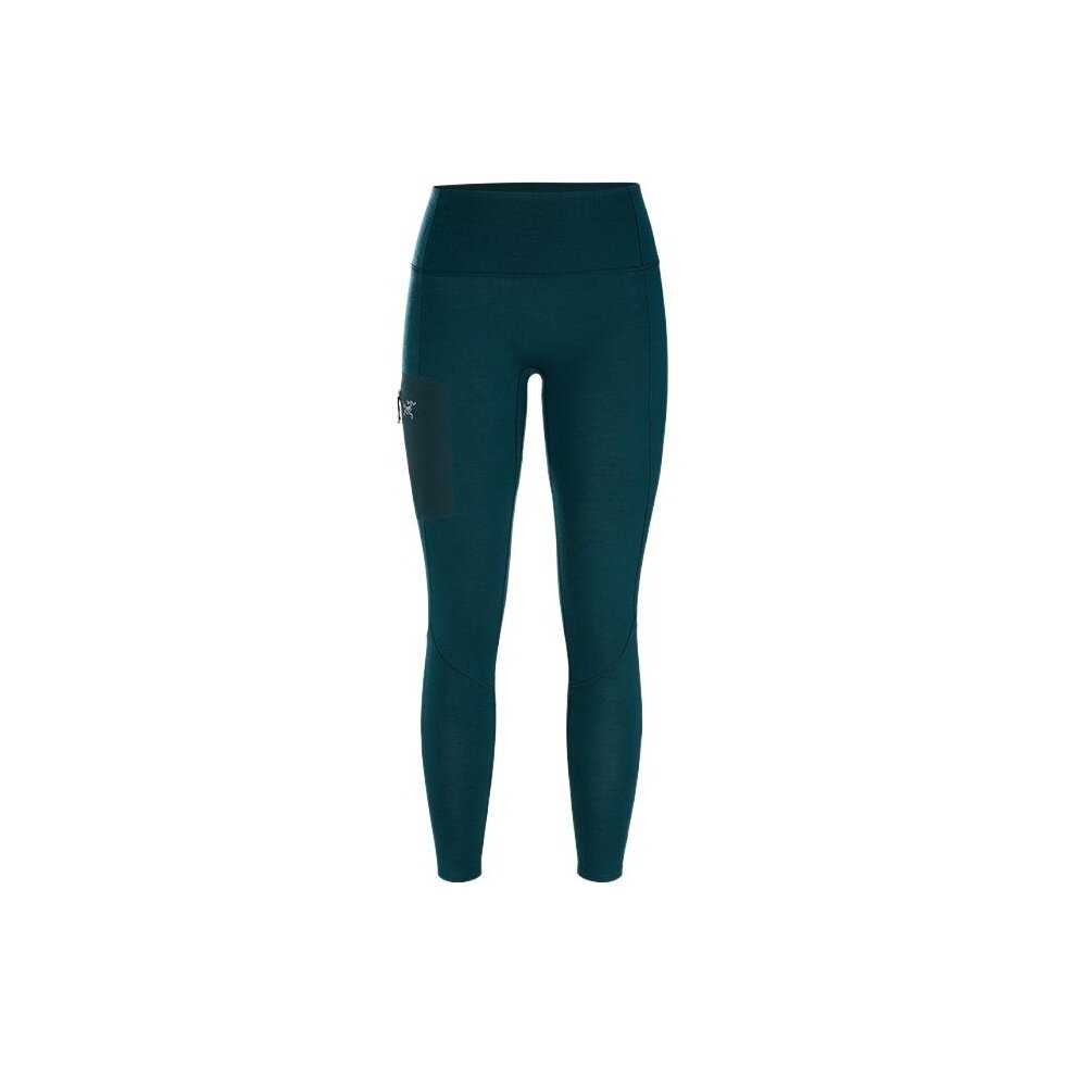 Брюки спортивные Arc'teryx