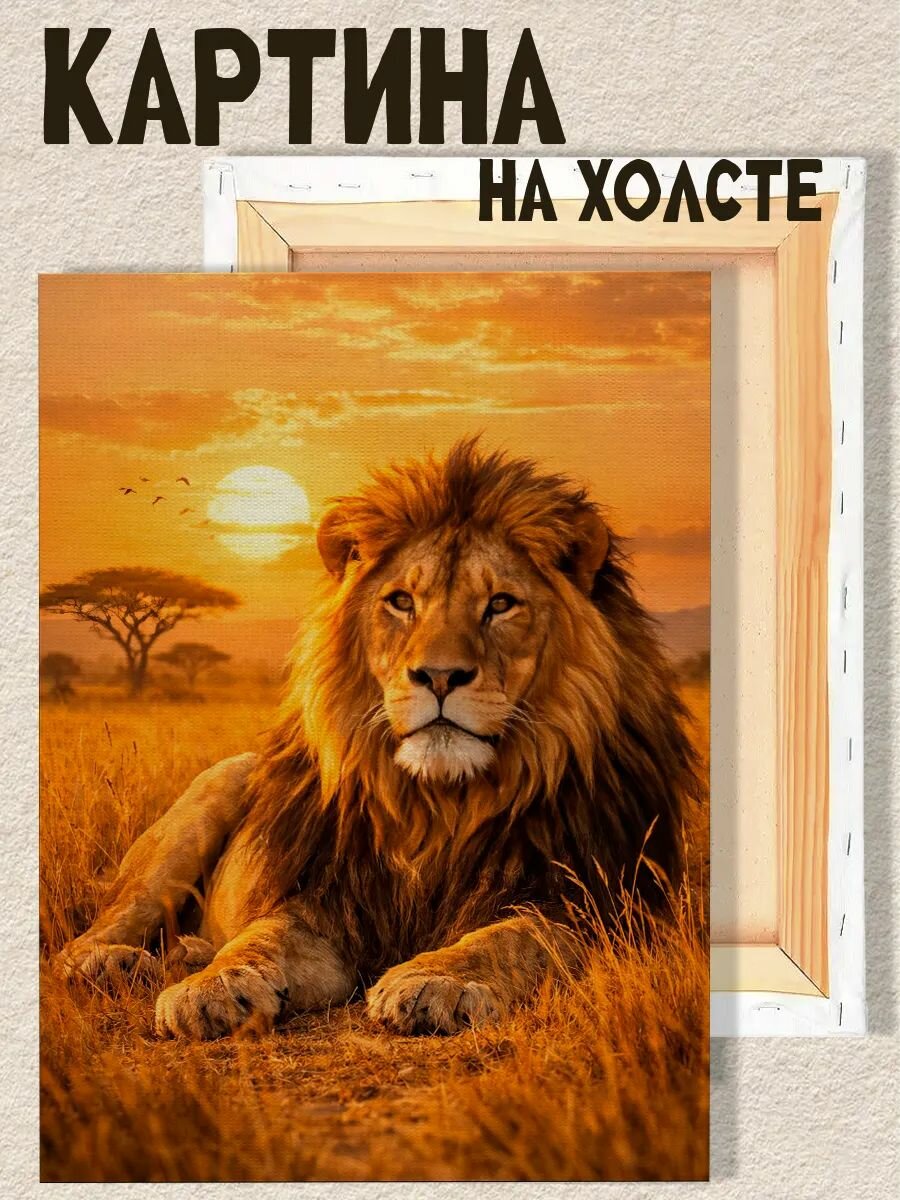 Картина на стену интерьерные Львы, на подрамнике, 1шт, 25х17 размер.