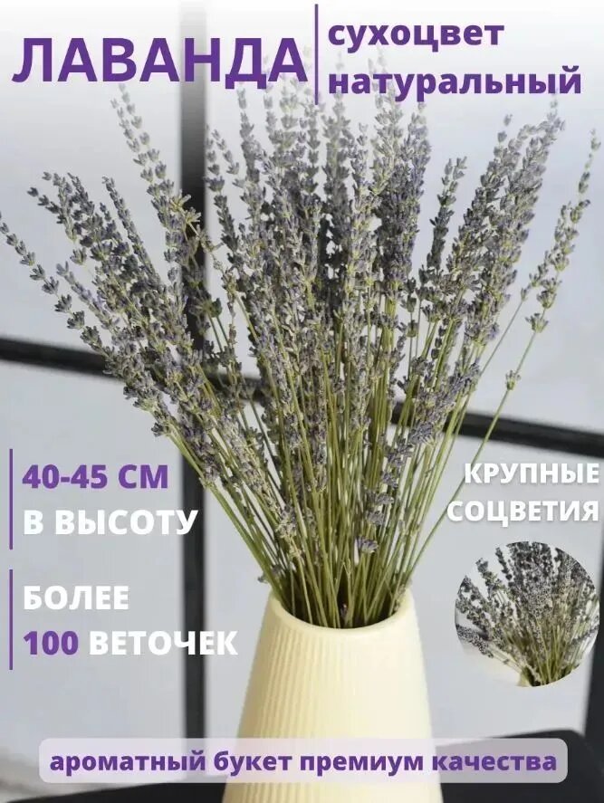 Сухоцветы, 45 см, 118 гр, 100 шт