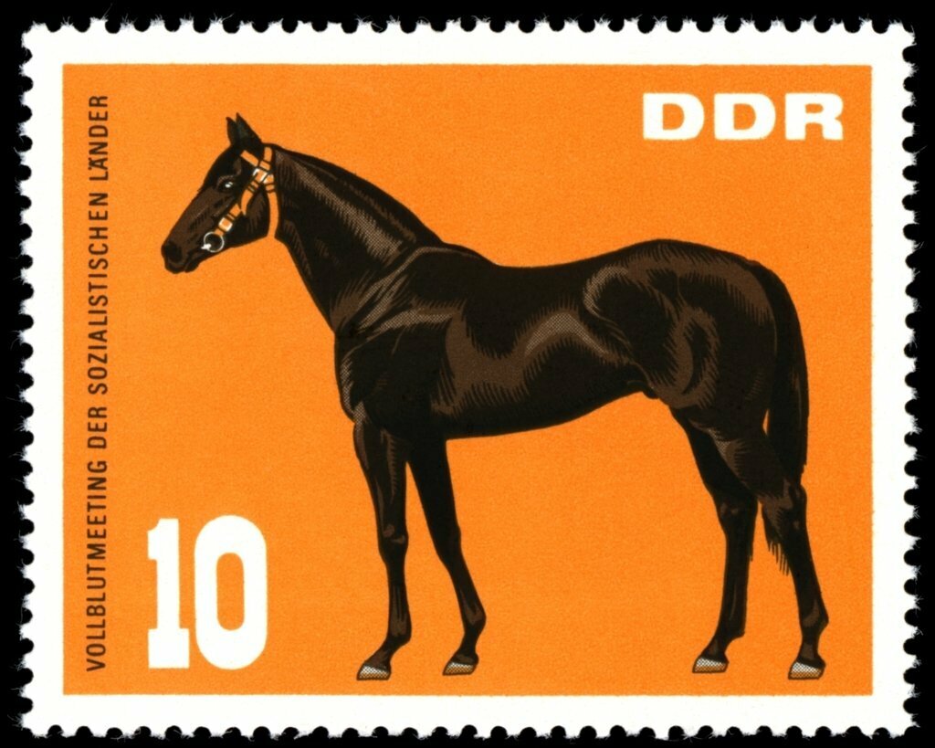 (1967-059) Марка Германия (ГДР) "Жеребец" Лошади II