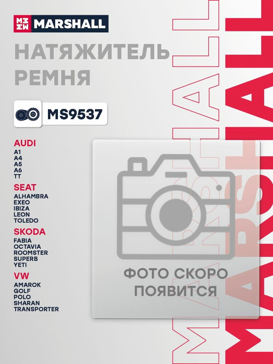 Натяжитель ремня Skoda Шкода Fabia Фабия, Octavia Октавия, Rapid Рапид, Volkswagen VW Фольксваген Golf Гольф, Jetta Джетта, Passat Пассат, Polo Поло, Tiguan Тигуан 03L109243B