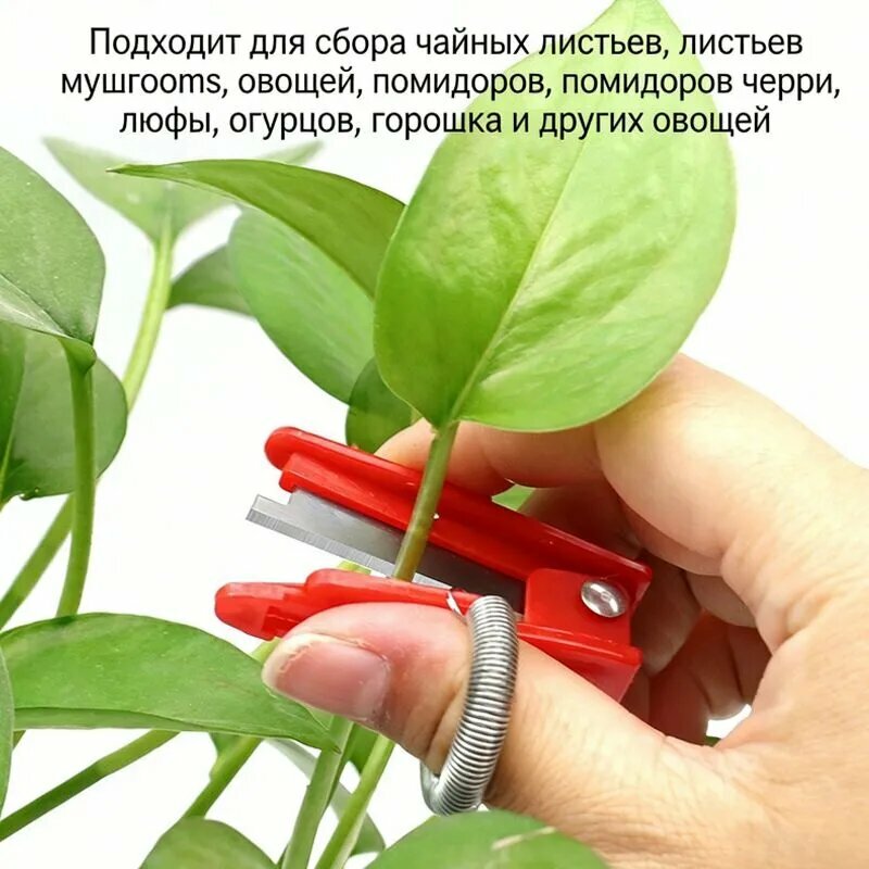 Секатор