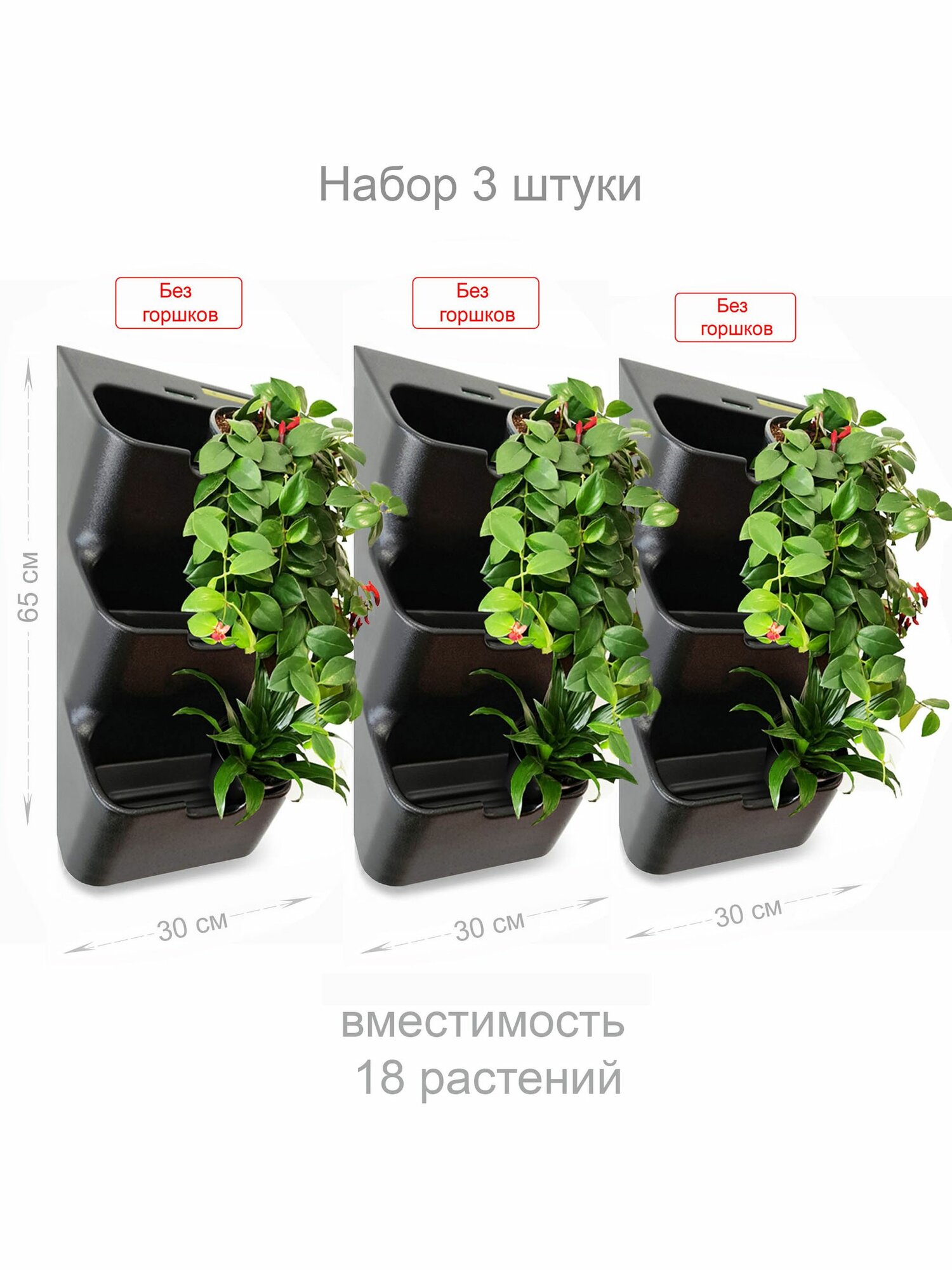 Фитомодуль "BOXSAND 6" (30х65 см) набор 3 шт.