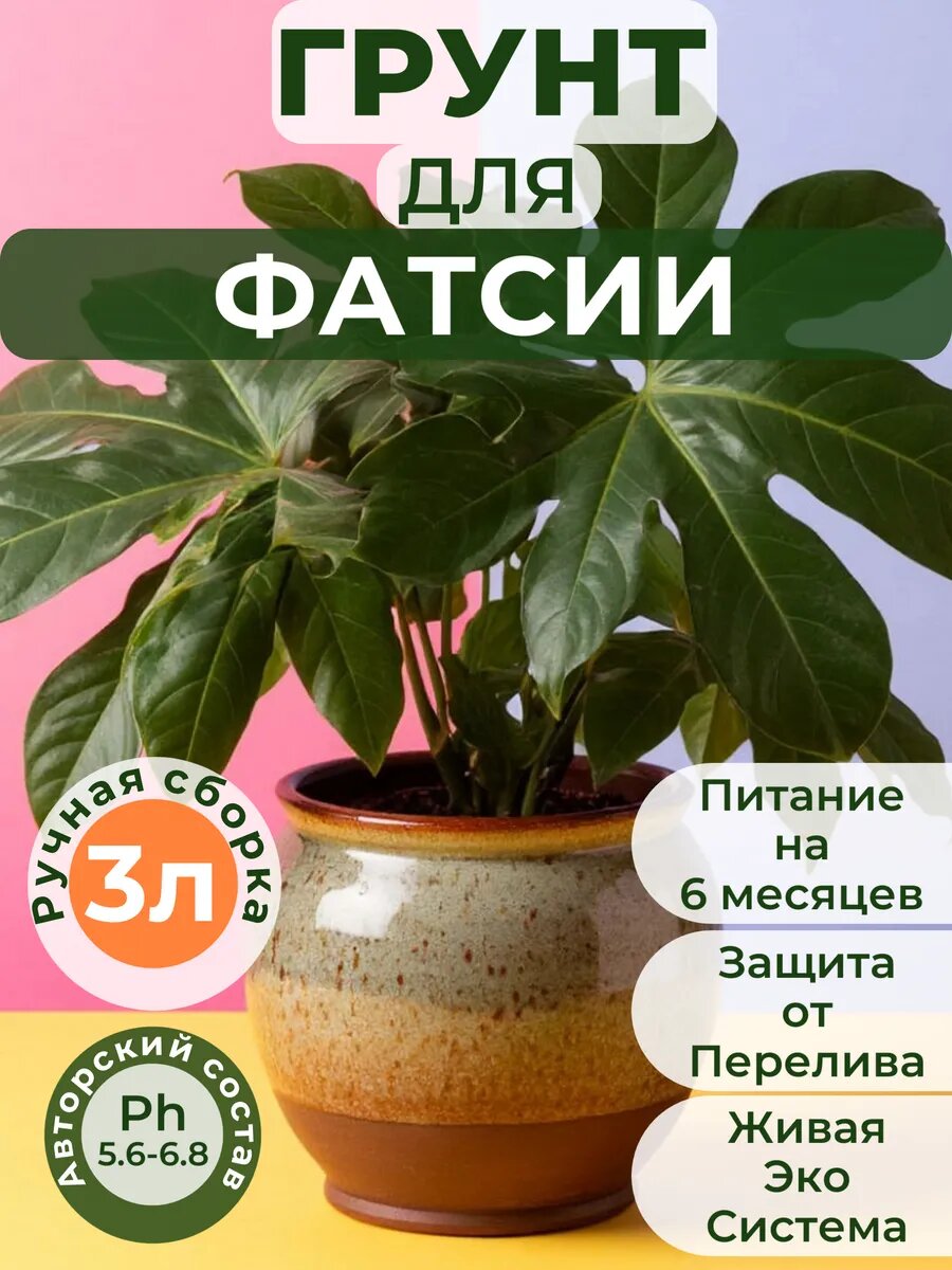 Готовый авторский грунт для Фатсии премиум 3 литра