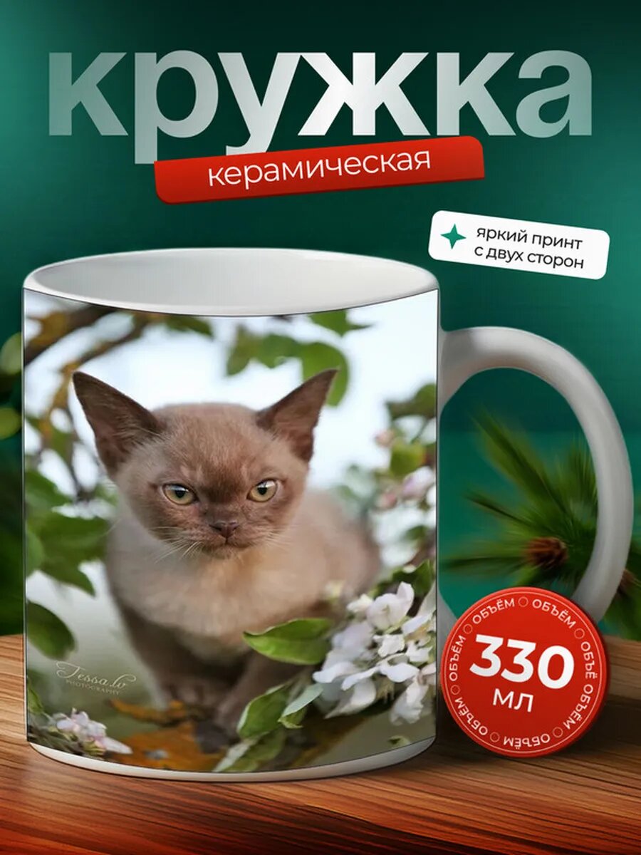 Кружка Бомбейский кашемир кот 35,