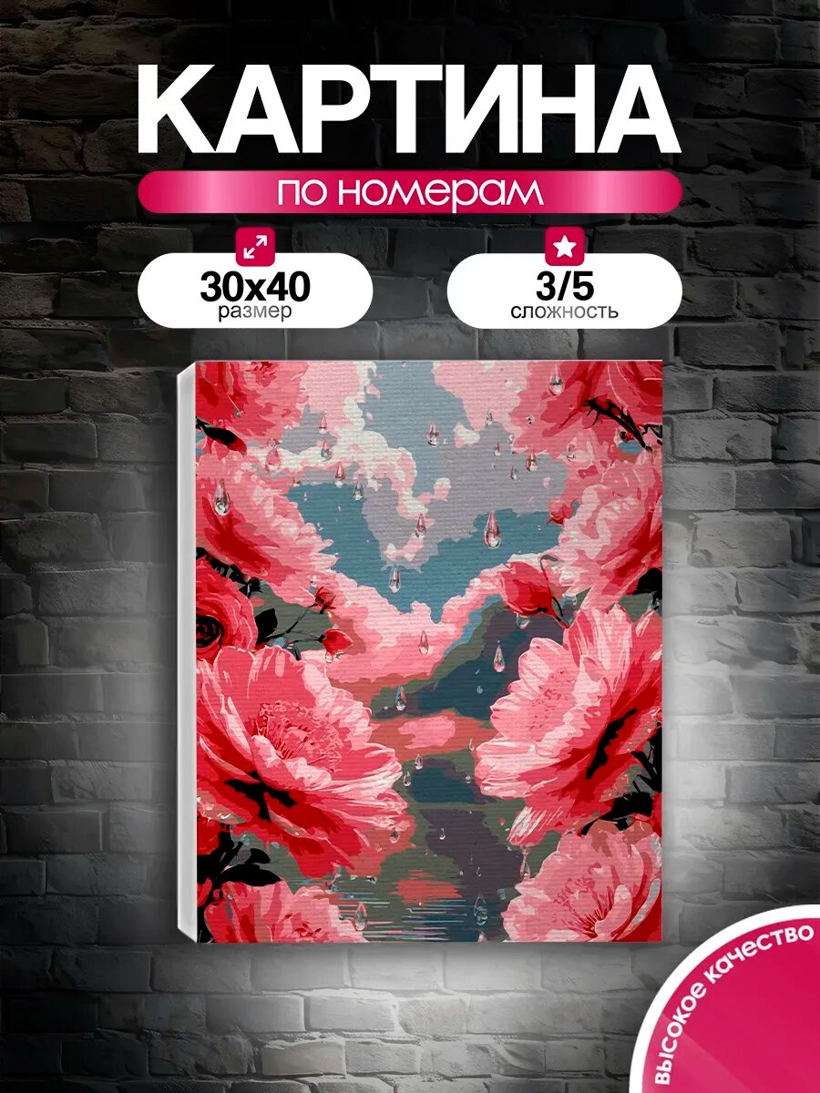 Картина по номерам 30x40 Дождь из пионов