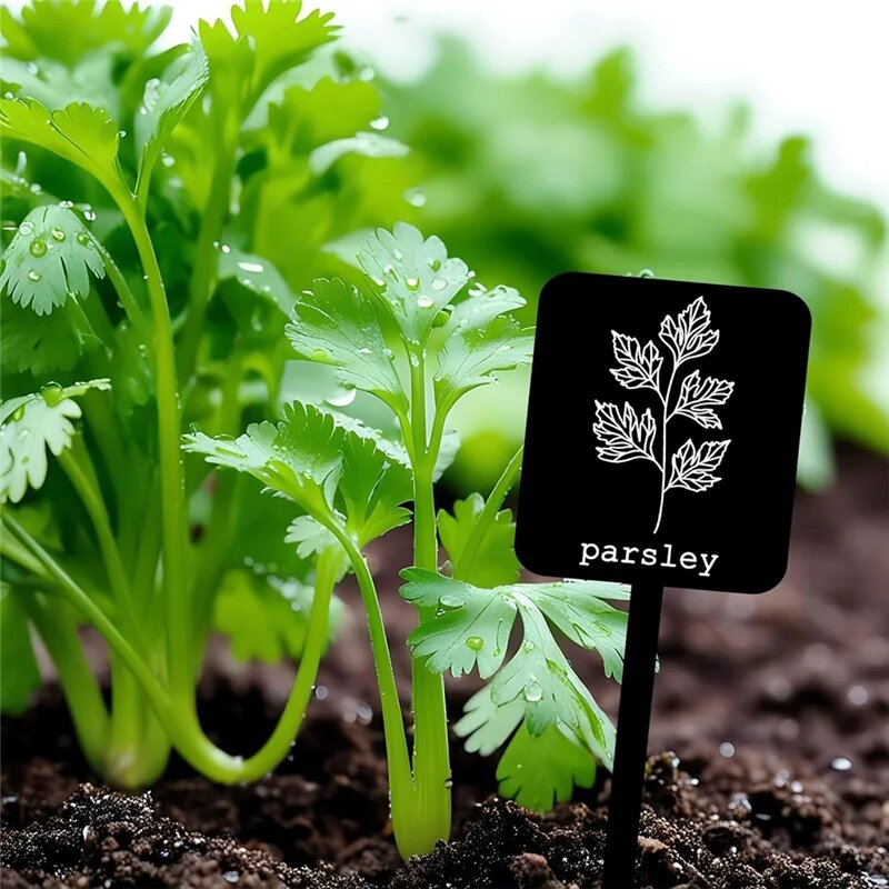 ATTWO Акриловые этикетки для растений 24 шт.