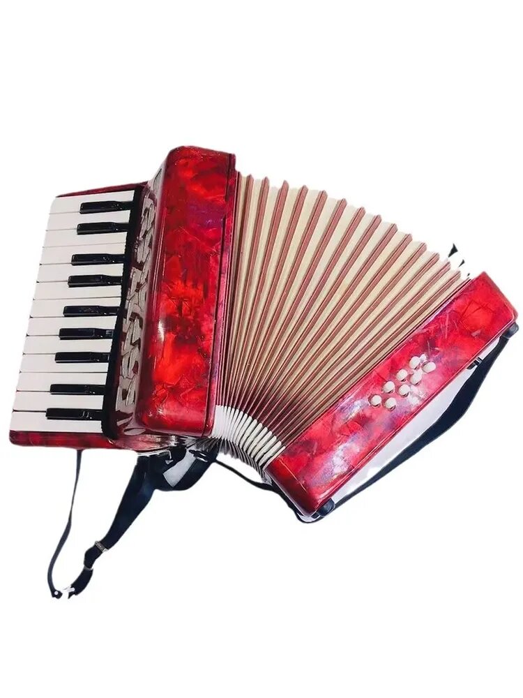 Аккордеон красный музыкальный инструмент для начинающих
