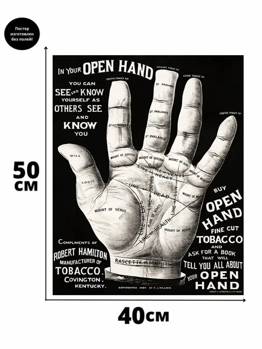 Постер рука ладонь линии судьбы