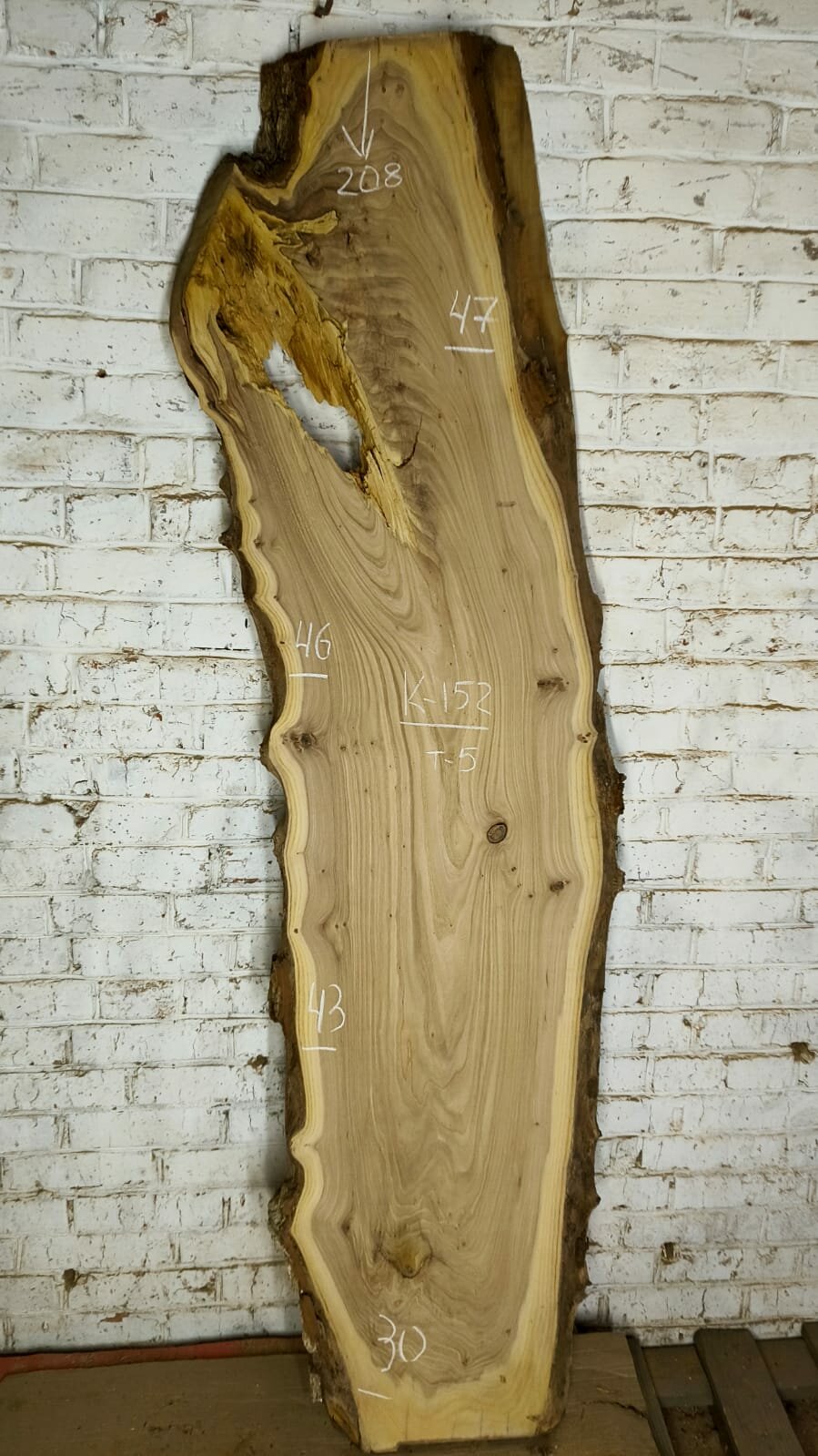 Слэб дерева Карагач К152, выровнен в плоскости, влажность 8-10%
