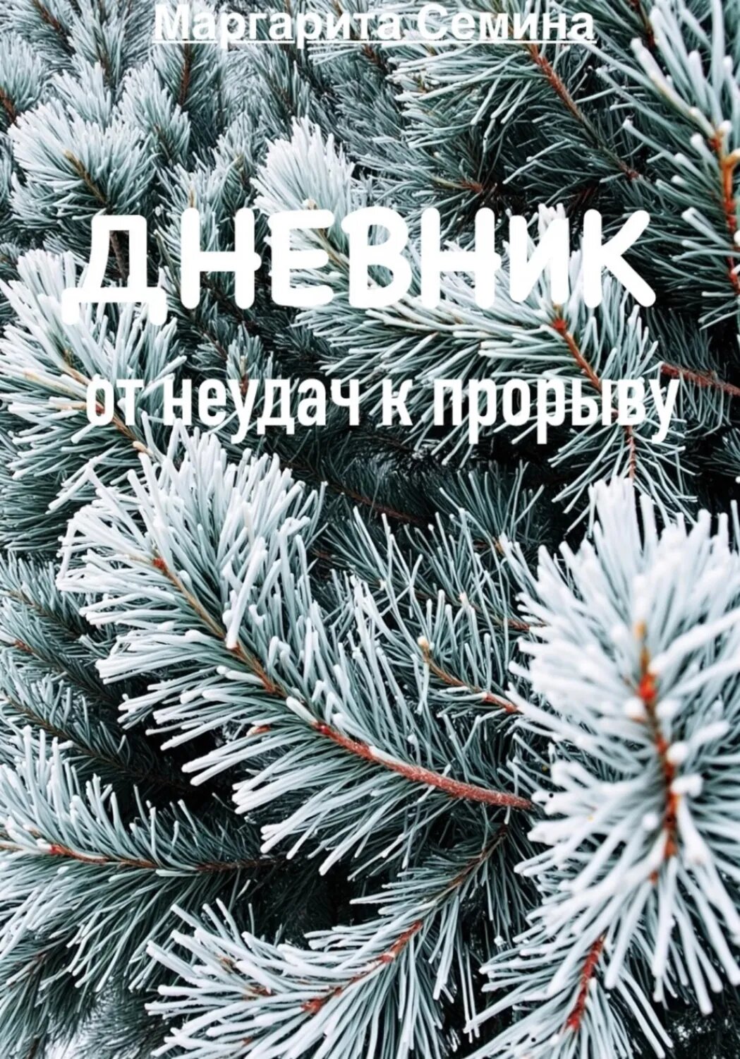 Дневник: от неудач к прорыву. [Цифровая книга]