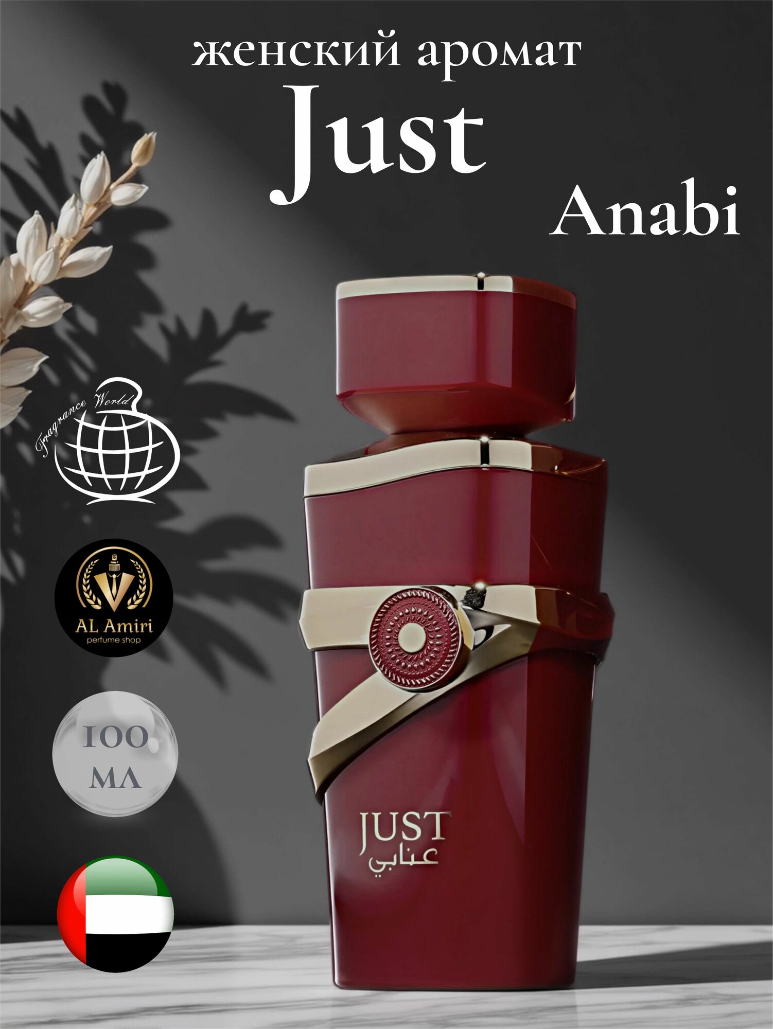 Парфюмерная вода унисекс Just Anabi, Fragrance World, 100 мл