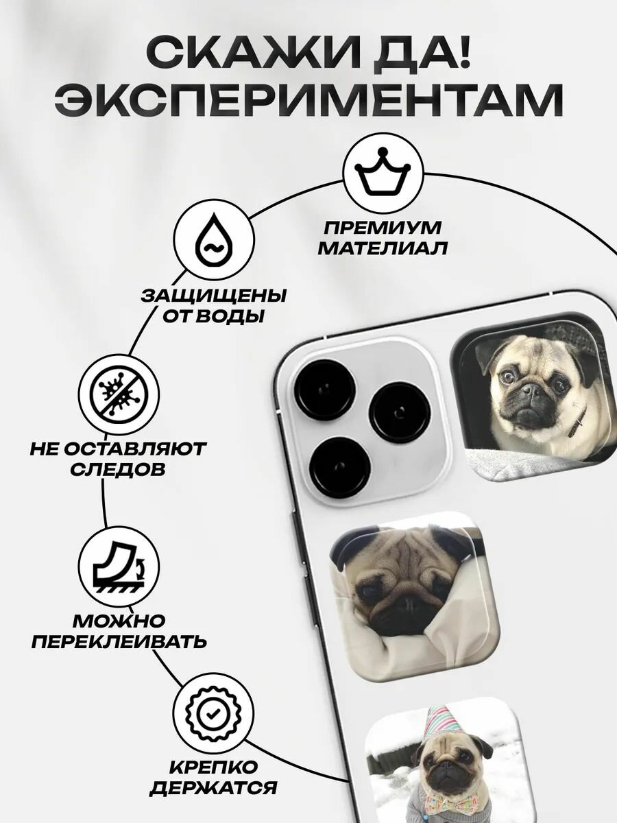 3D стикеры на телефон мопс — фото 1