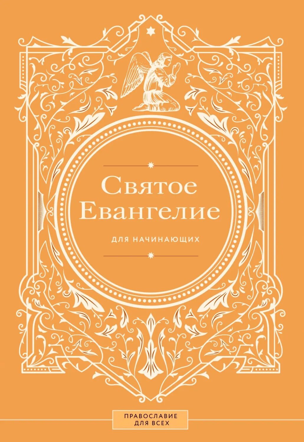 Святое Евангелие для начинающих [Цифровая книга]