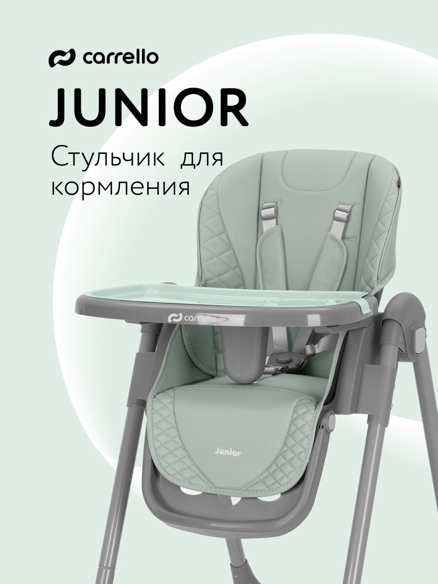 Стульчик для кормления Carrello Junior, складной, для детей от 6 месяцев, зеленый
