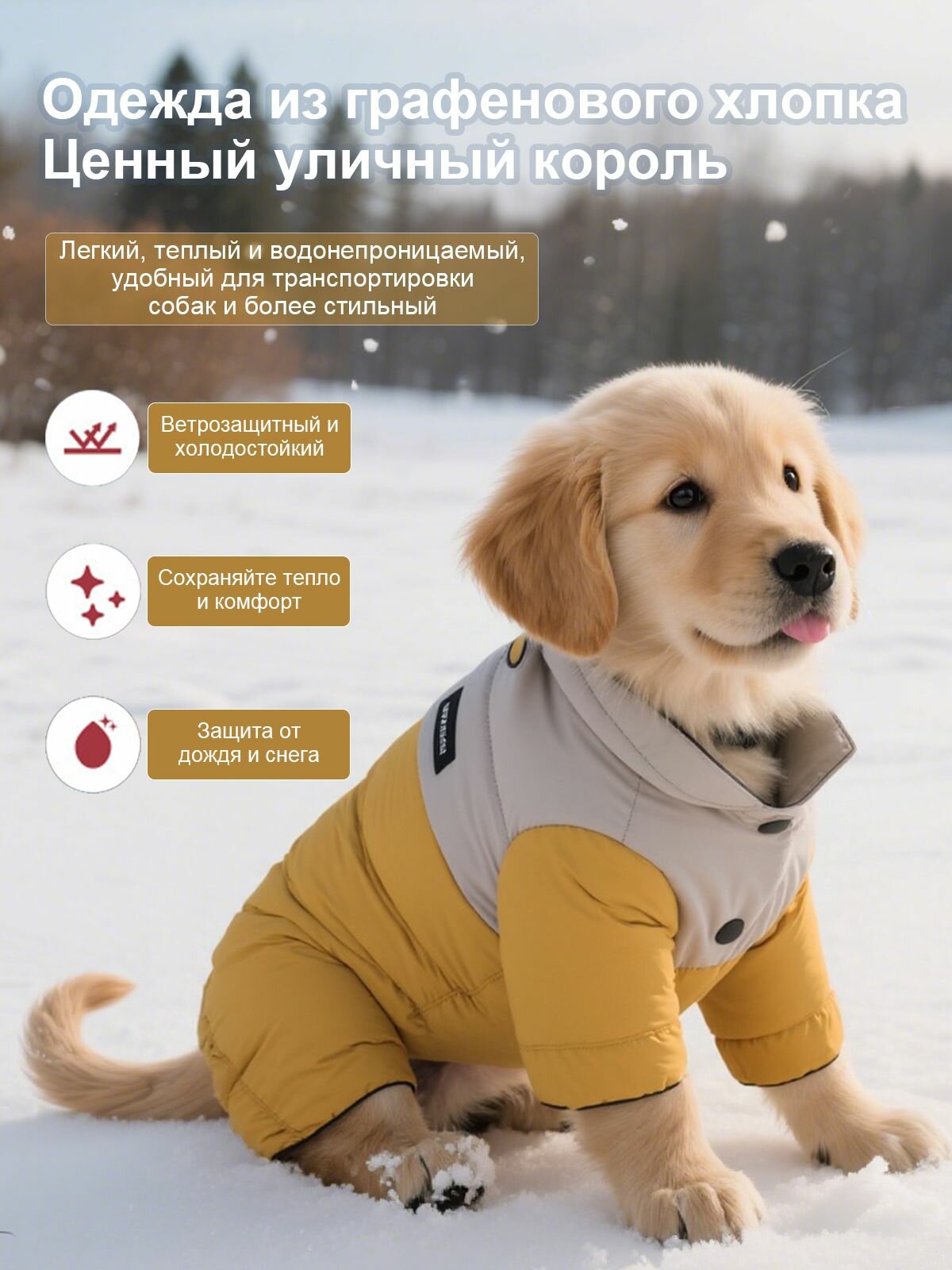 Одежда для животных