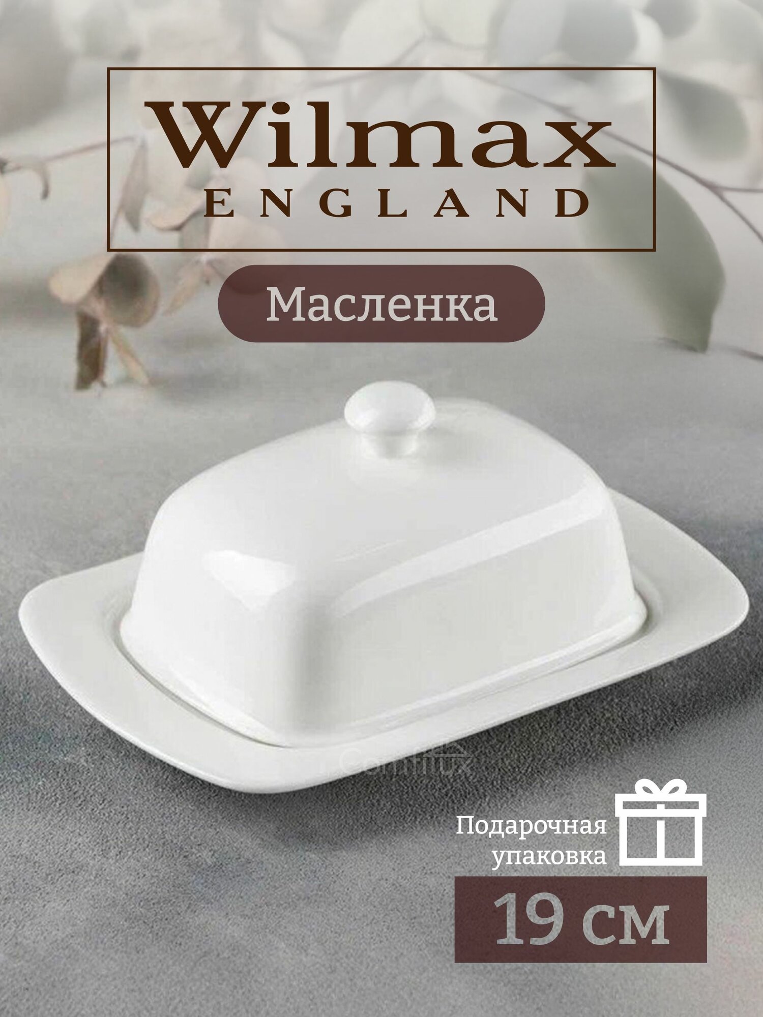 Масленка для сливочного масла Wilmax 19 х 12 х 8 см