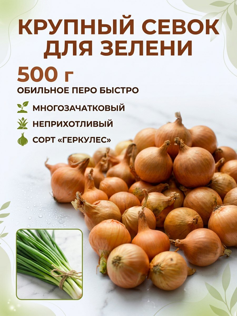Крупный лук-севок для зелени 500 грамм / Для получения обильного пера / Многозачатковый, неприхотливый / Сажать на перо