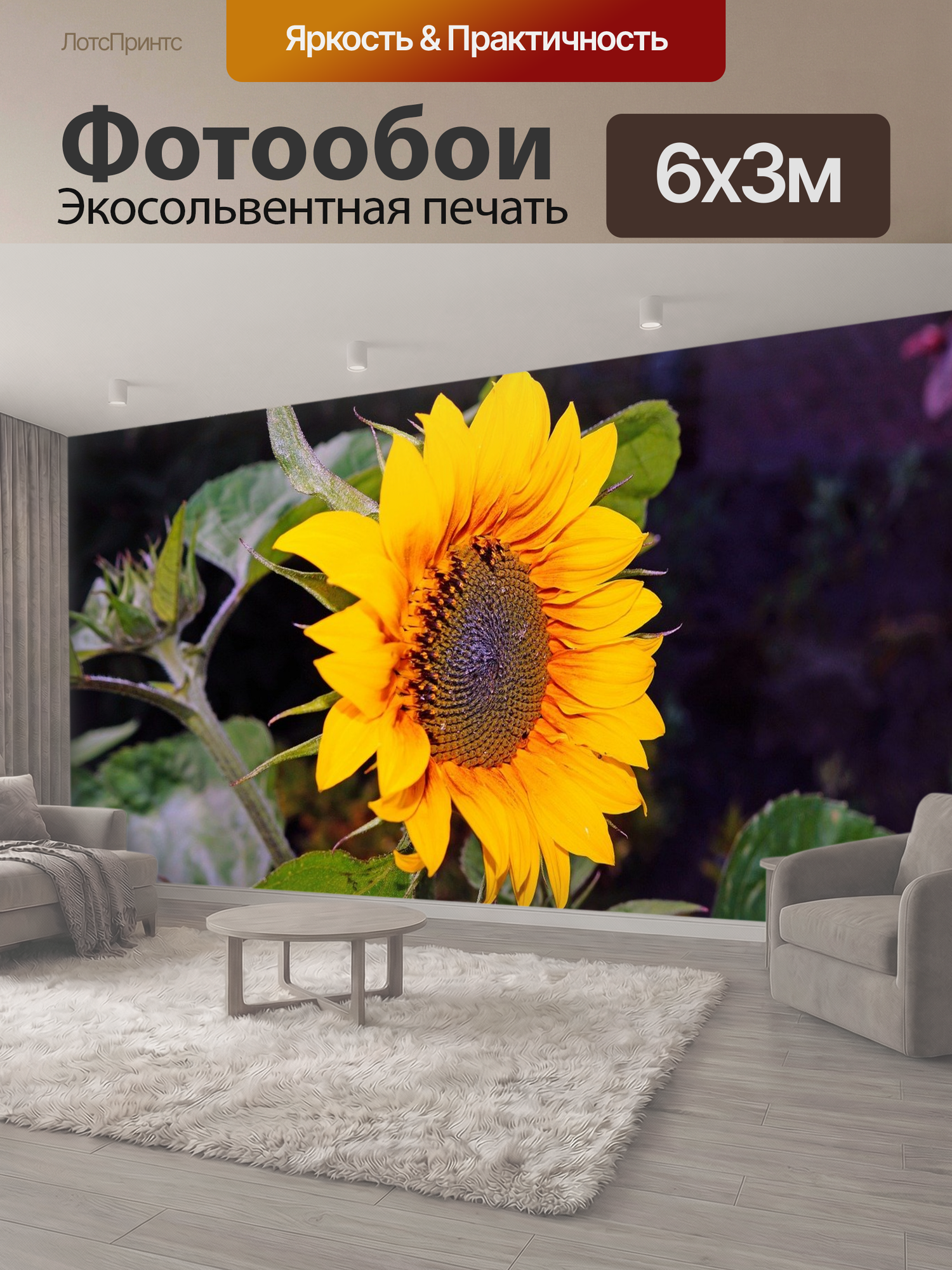 Фотообои "Подсолнух, лучевые соцветия, желтый" 600x300 см. экосольвентная печать