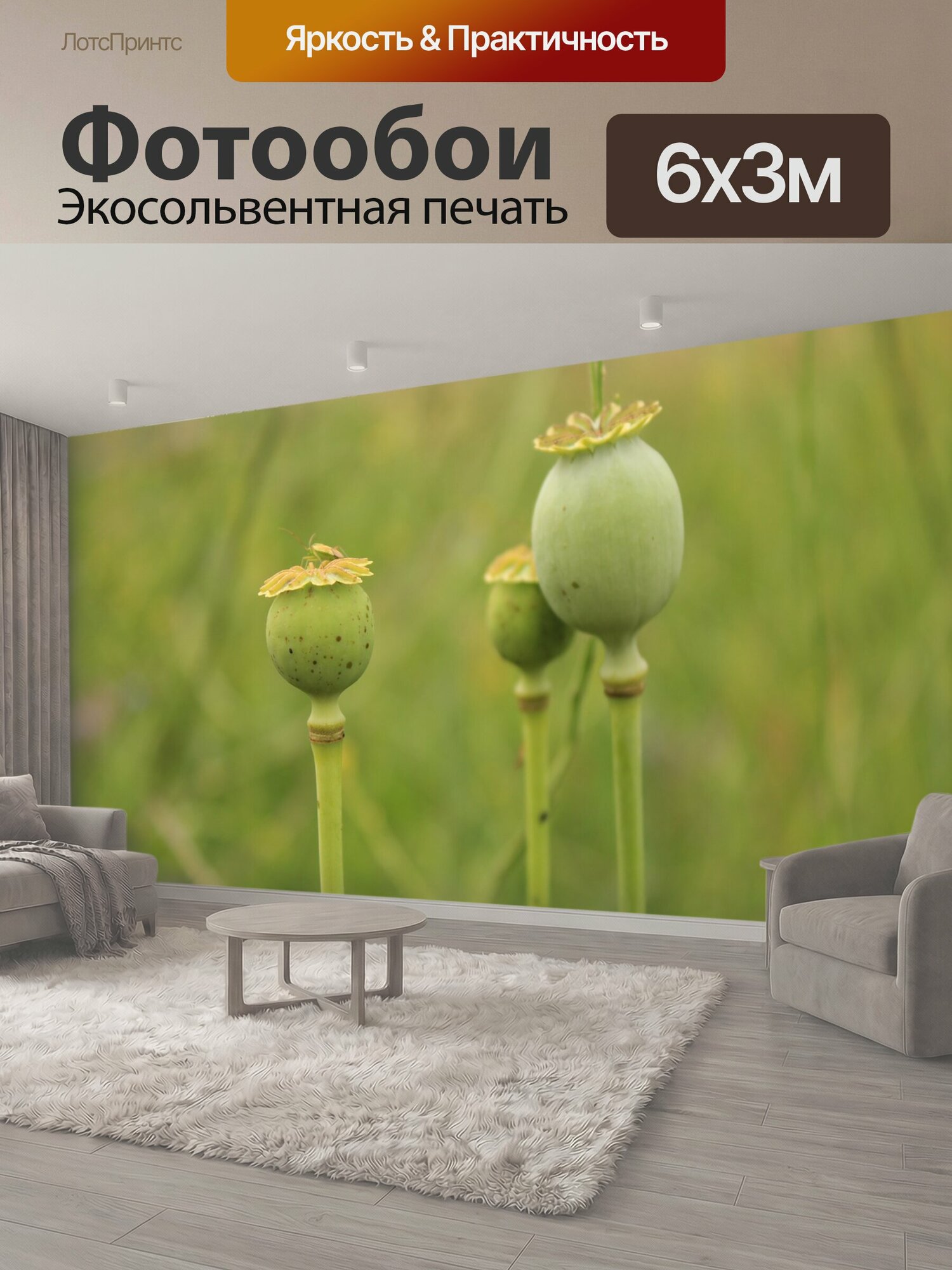 Фотообои "Мак, семена, посевной" 600x300 см. экосольвентная печать