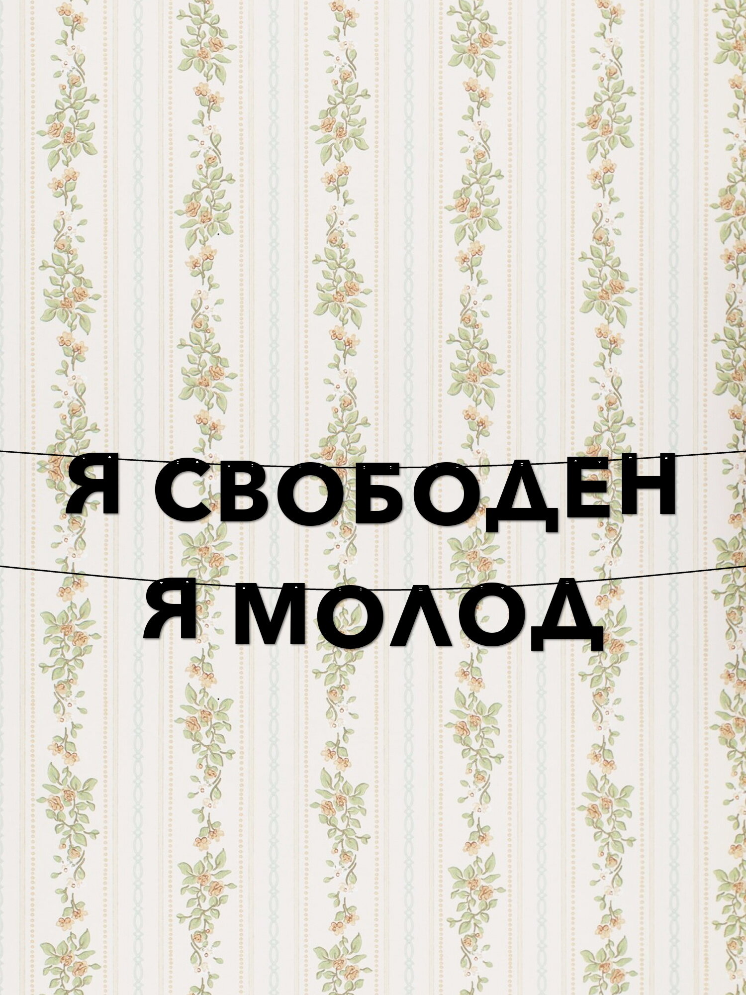 Буквенная гирлянда Я свободен я молод - декоративная растяжка для праздника, высота букв 10 см, толщина букв 1 мм, долговечный материал.