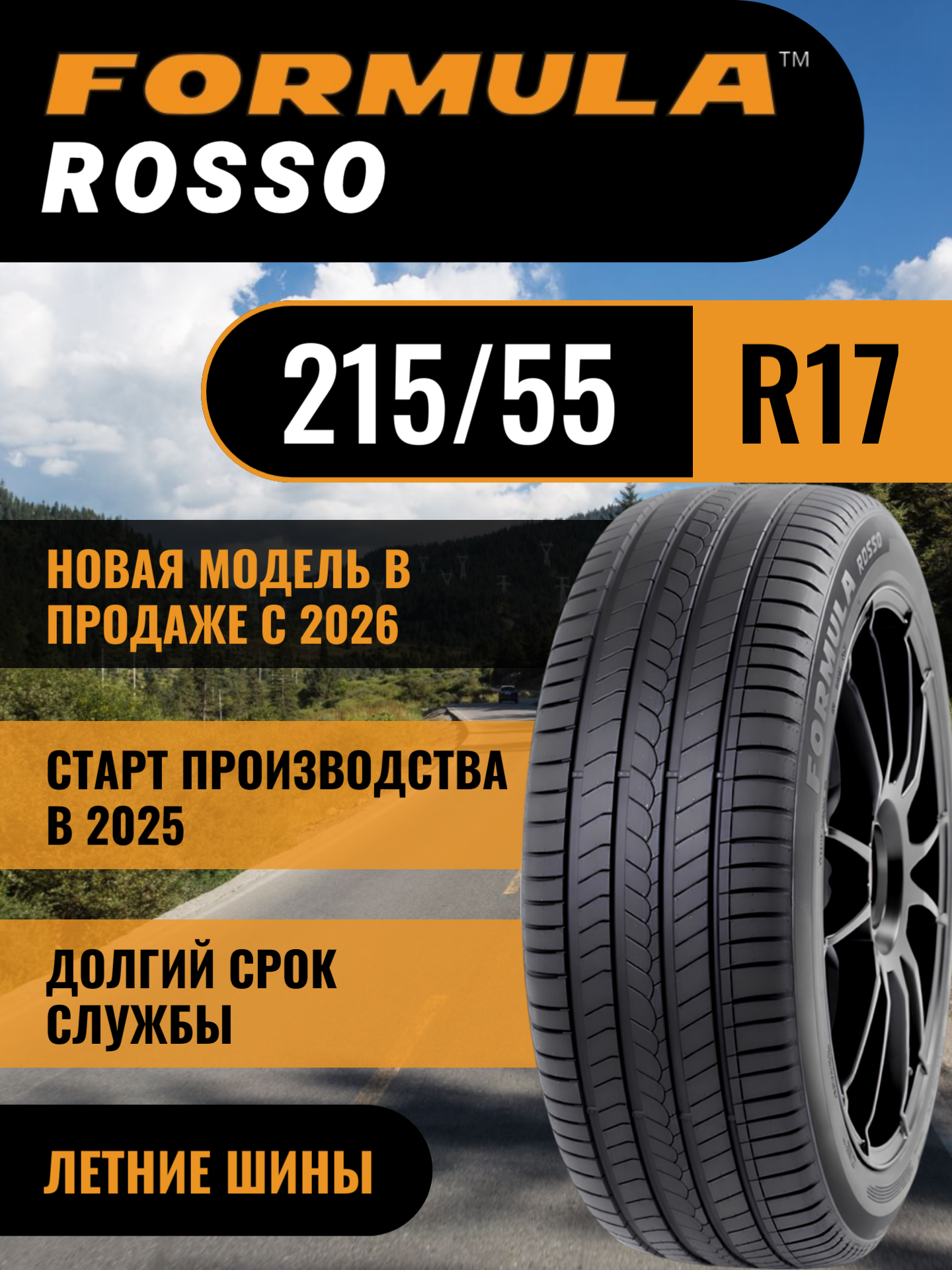 Шины автомобильные 215 55 17 94 V Rosso Летняя Производитель Formula